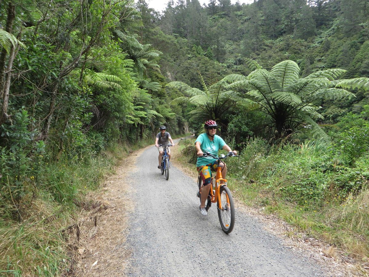 Hauraki Rail Trail Tour | 2 Day Cycling Adventure